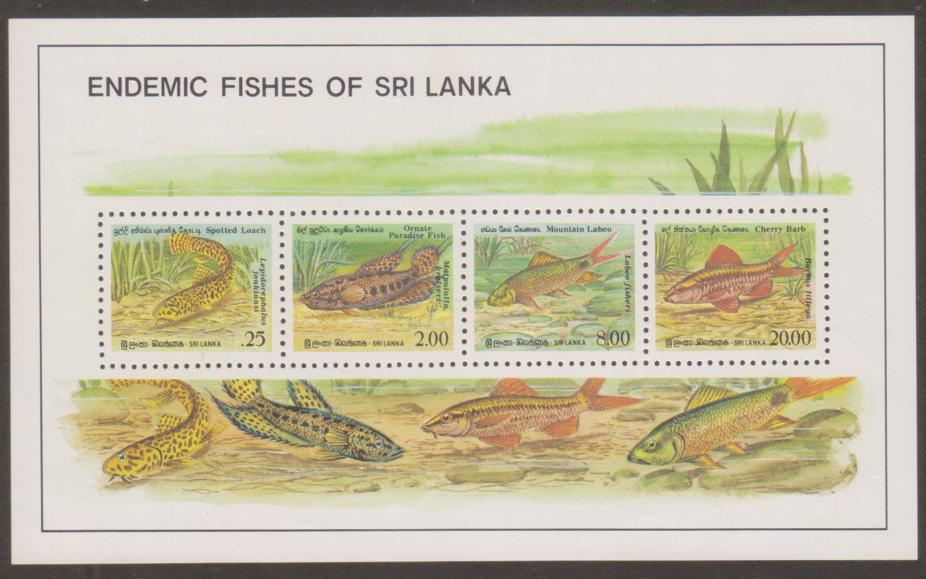 Endemic Fishes of Sri Lanka Souvenir Sheet